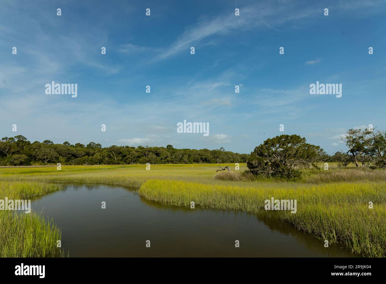 wetland landscape at Jekyll island in georgia Stock Photo - Alamy