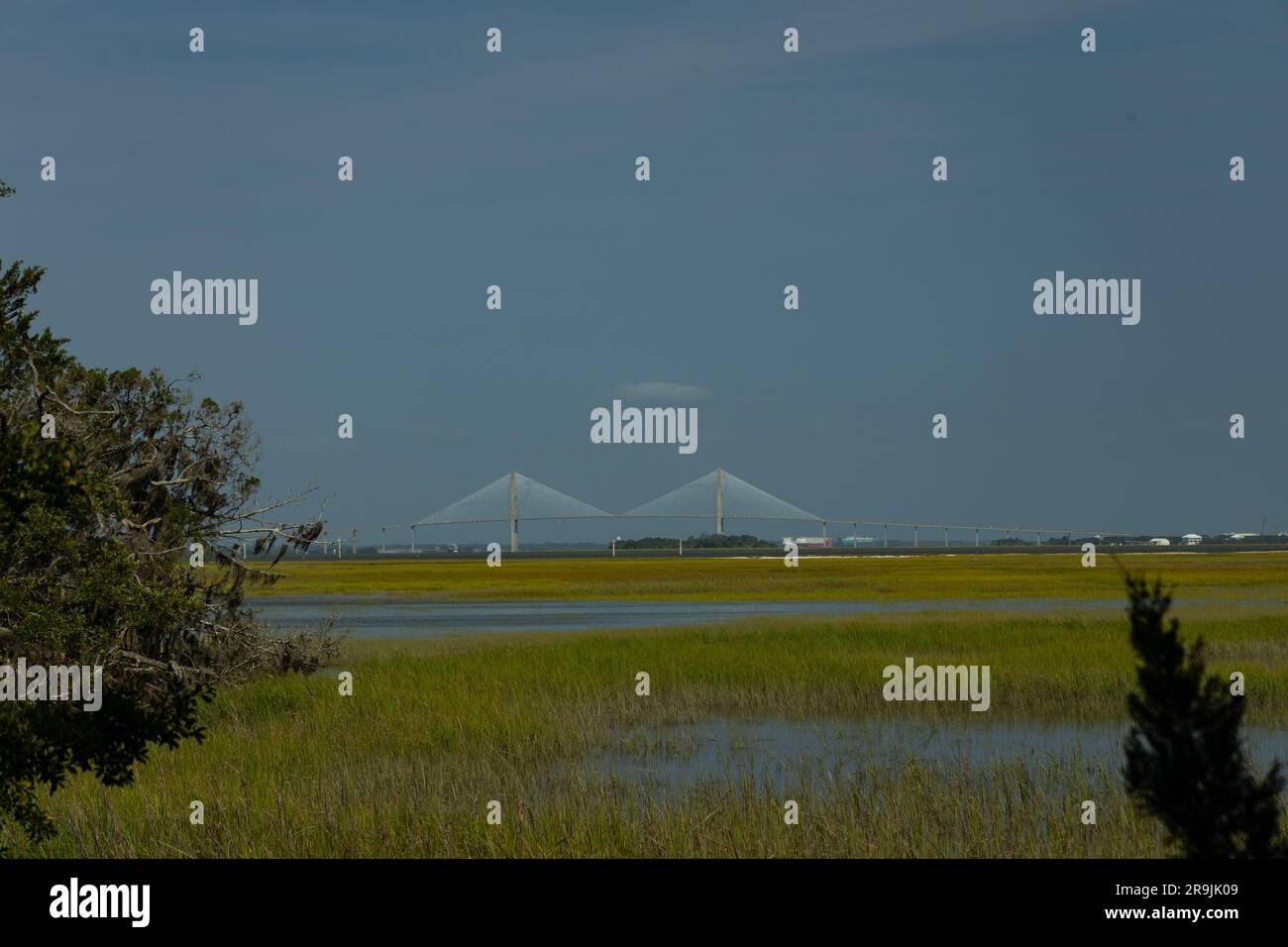 landscape at Jekyll island with view to Sidney Lanier Bridge Stock ...