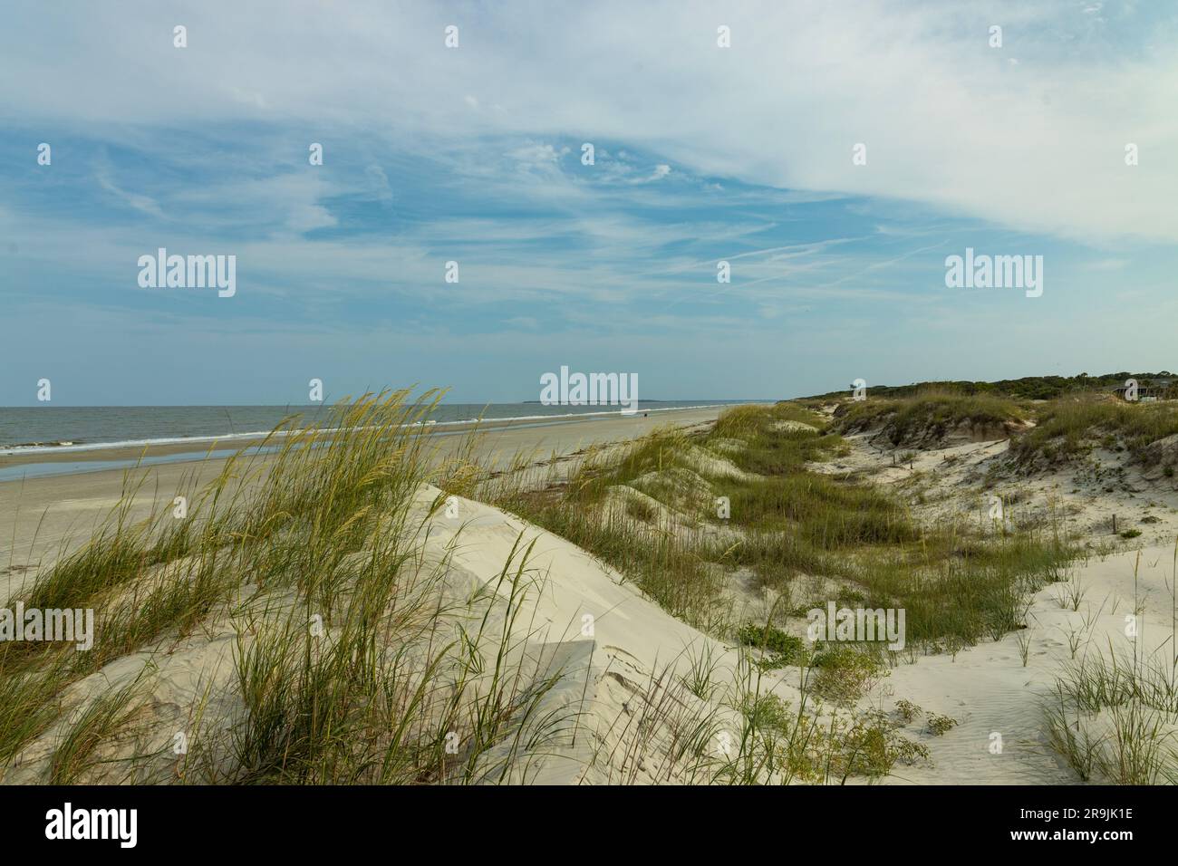 sand dunes at Jekyll Island in Georgia Stock Photo - Alamy
