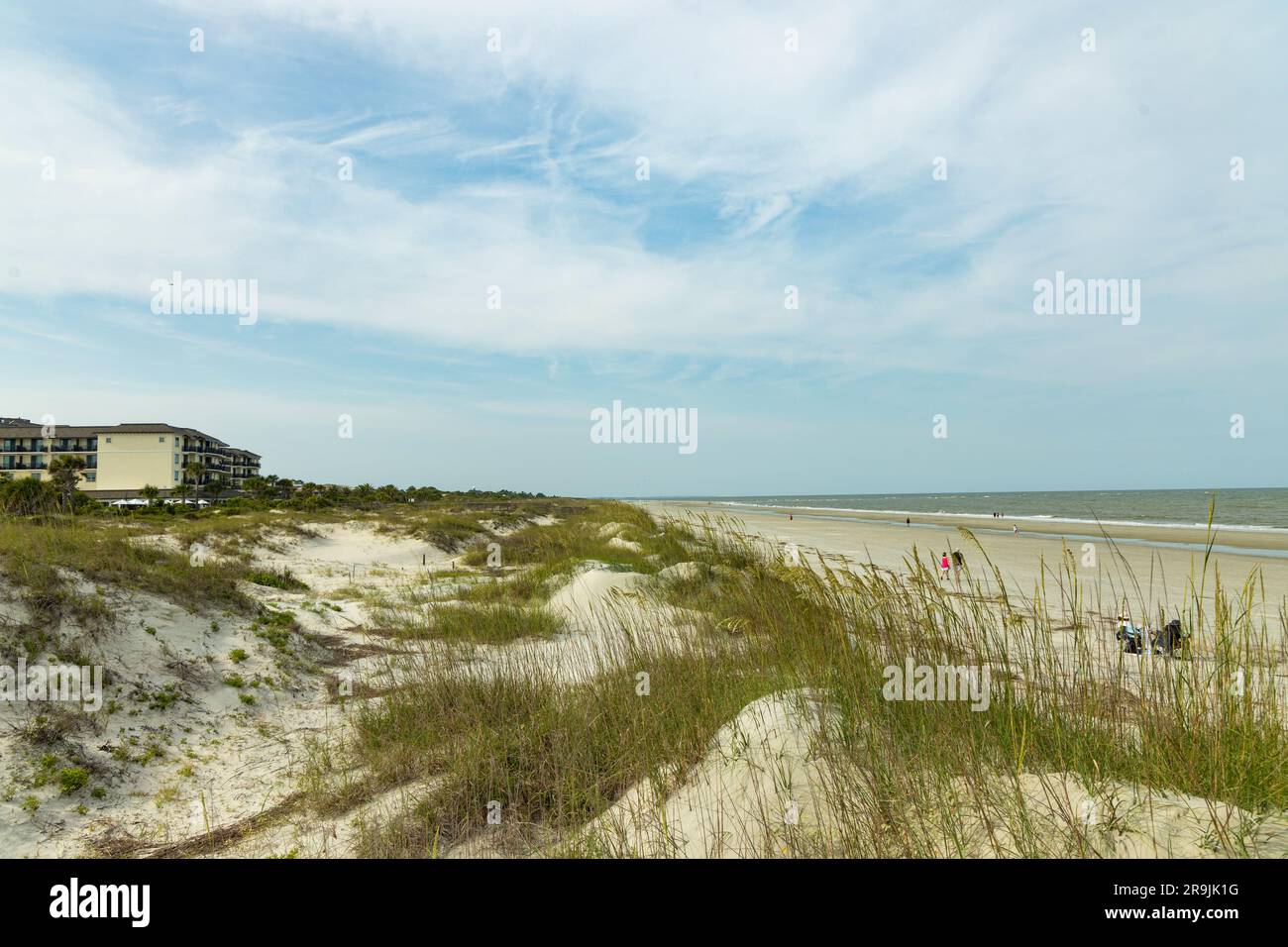 sand dunes at Jekyll Island in Georgia Stock Photo - Alamy