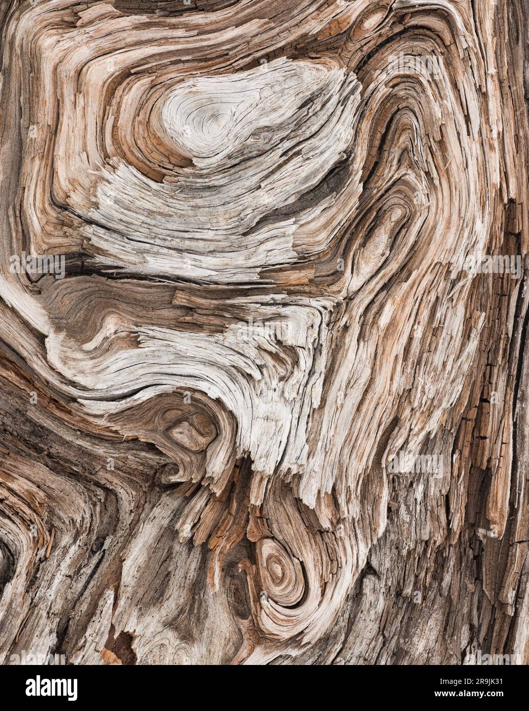 Woodgrain patterns hi-res stock photography and images - Alamy