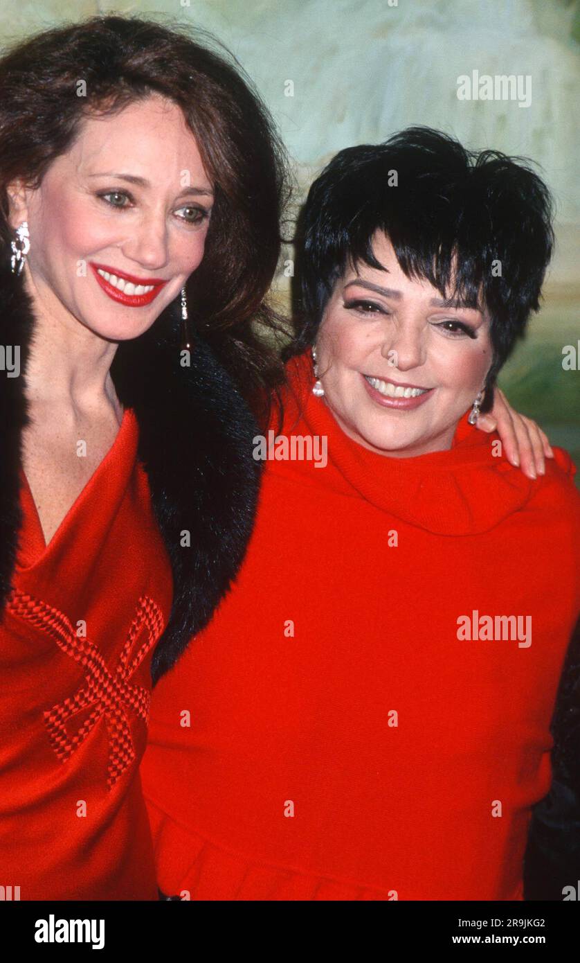 2000 Liza Minnelli Marisa Berenson John Barrett/PHOTOlink Stock Photo ...