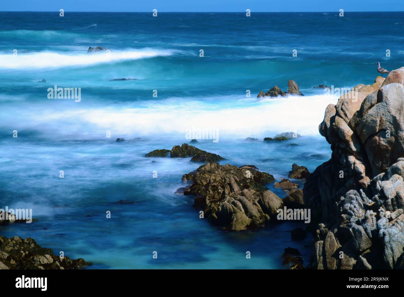 Surf breaking Asilomar State Marine Reserve Monterey Bay California ...