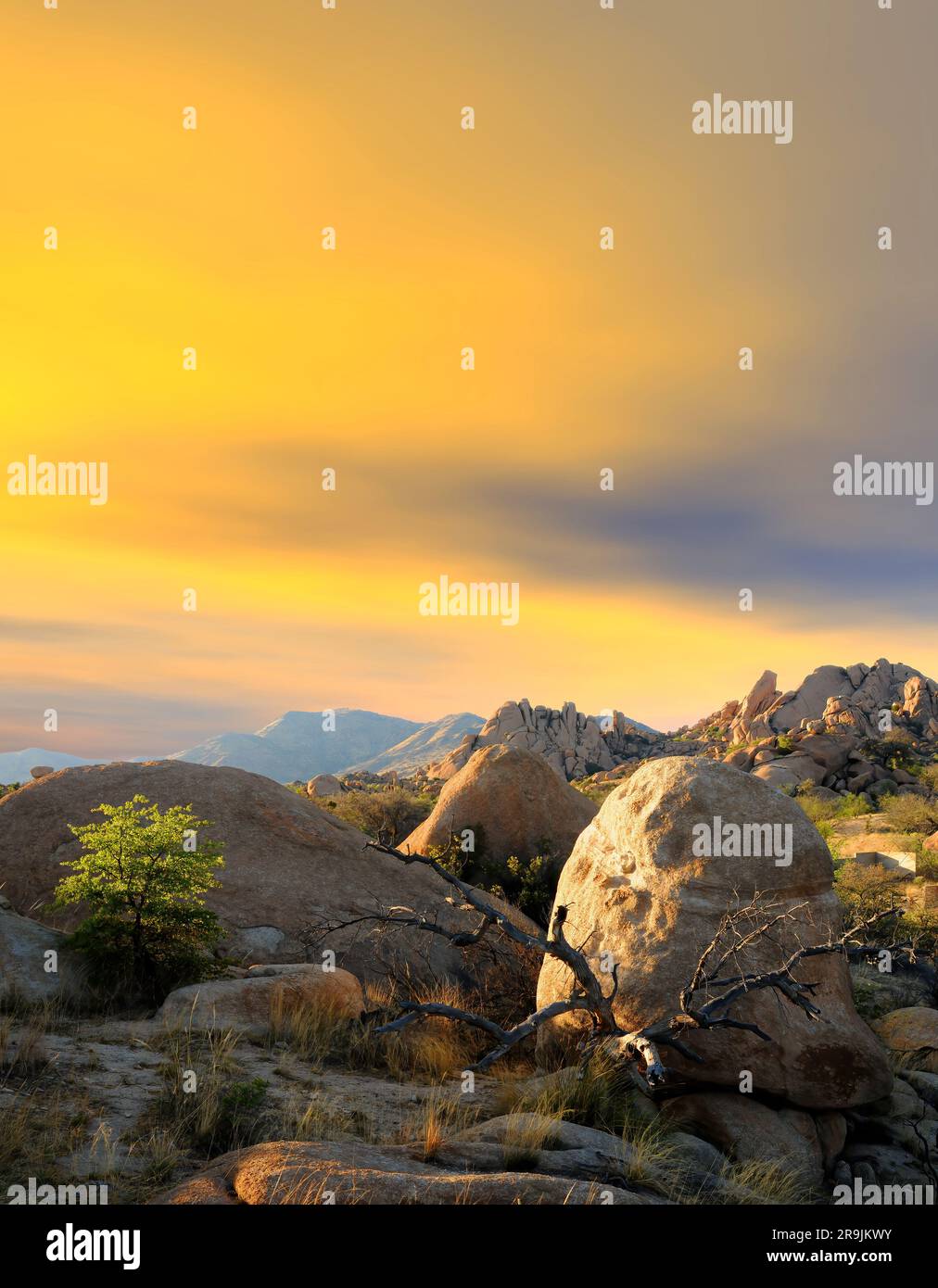 Texas Canyon in the Sonora desert in central Arizona USA Stock Photo ...