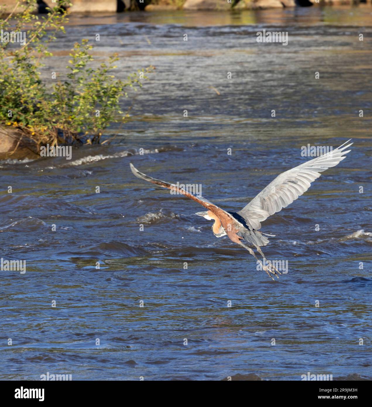 Fishing flies, different hi-res stock photography and images - Alamy