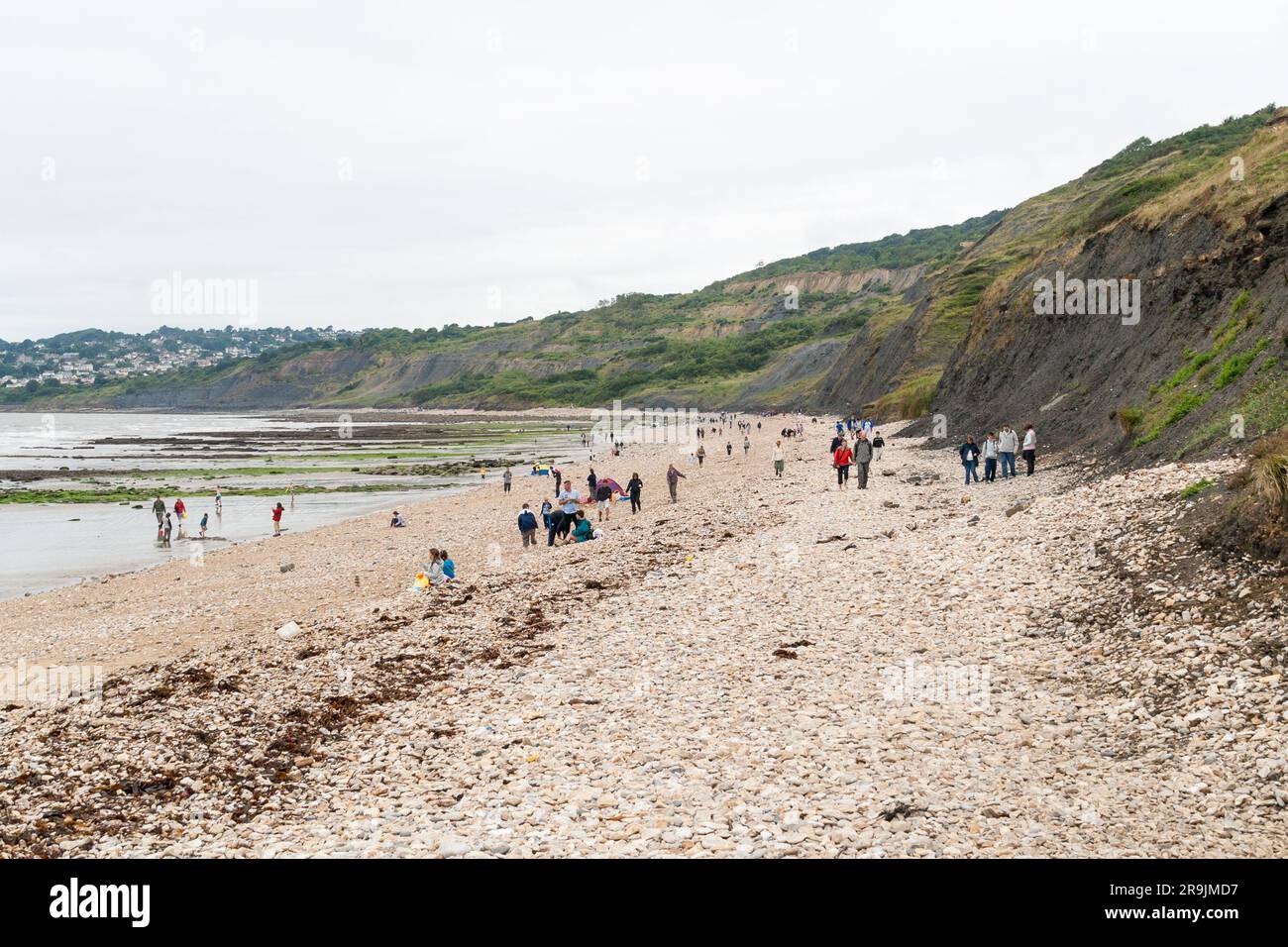 Charmouth beach, Dorset Stock Photo - Alamy
