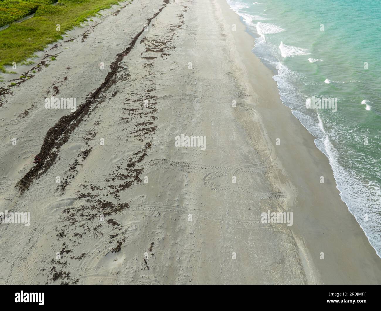 Aerial photo Loggerhead turtle tracks on the sand Jupiter Island ...