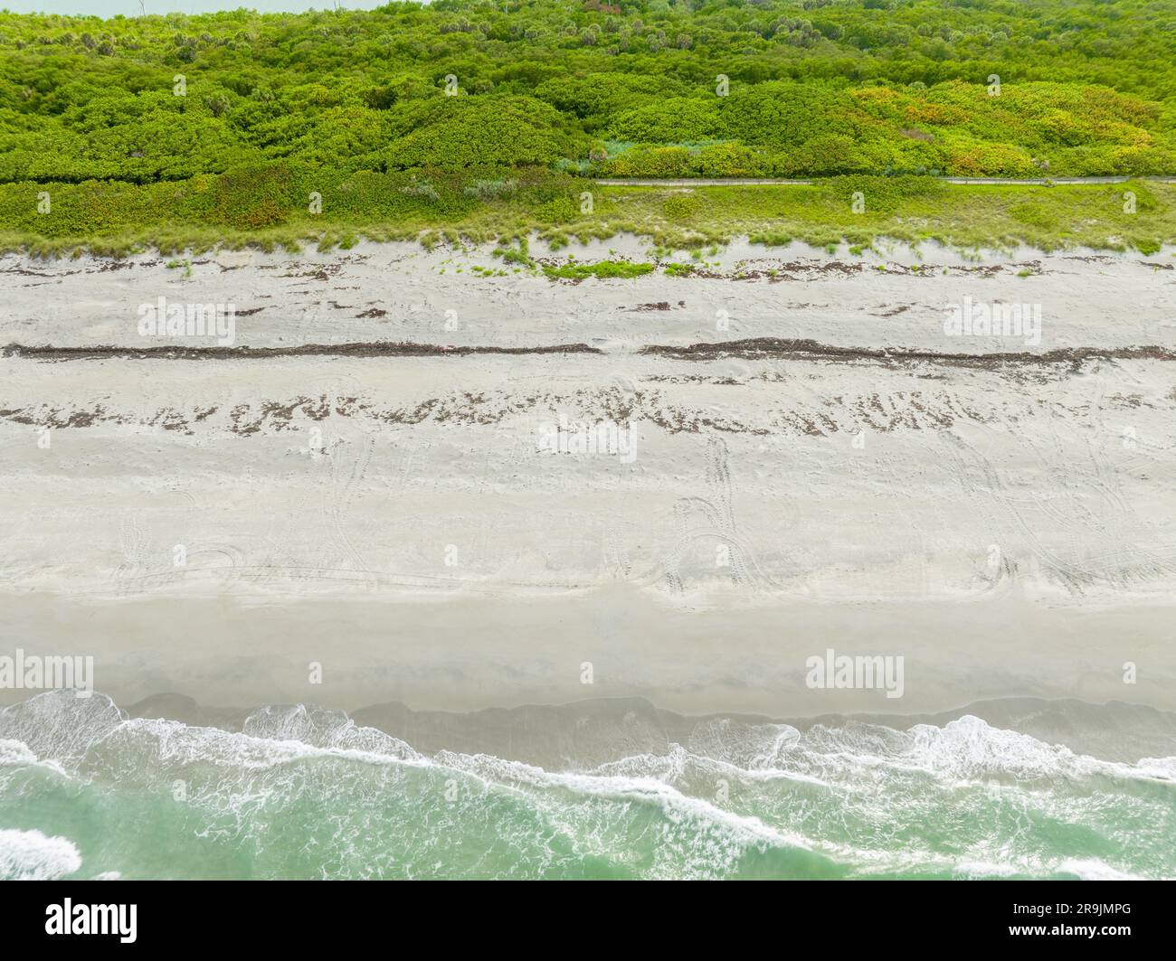Aerial photo Loggerhead turtle tracks on the sand Jupiter Island ...
