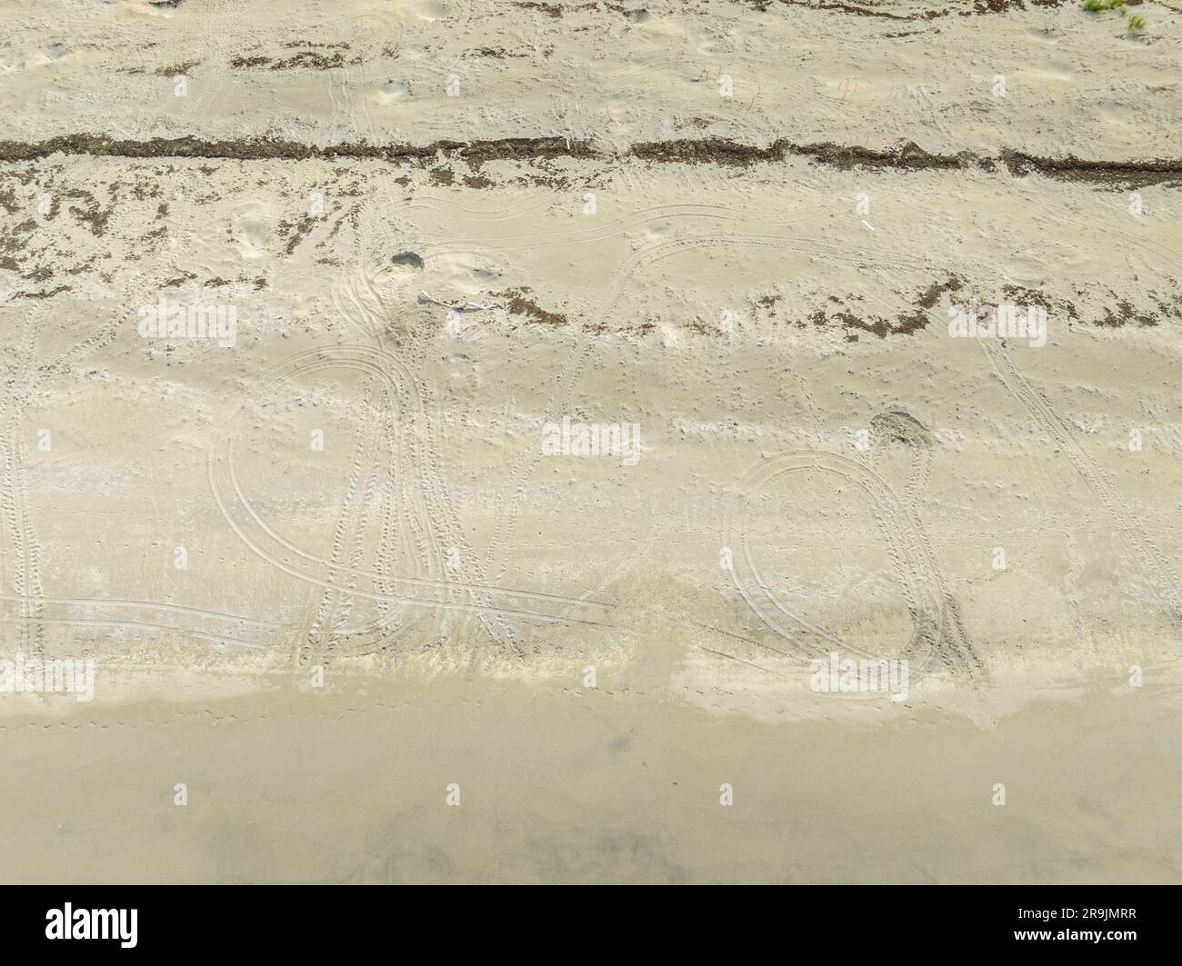 Aerial photo Loggerhead turtle tracks on the sand Jupiter Island ...