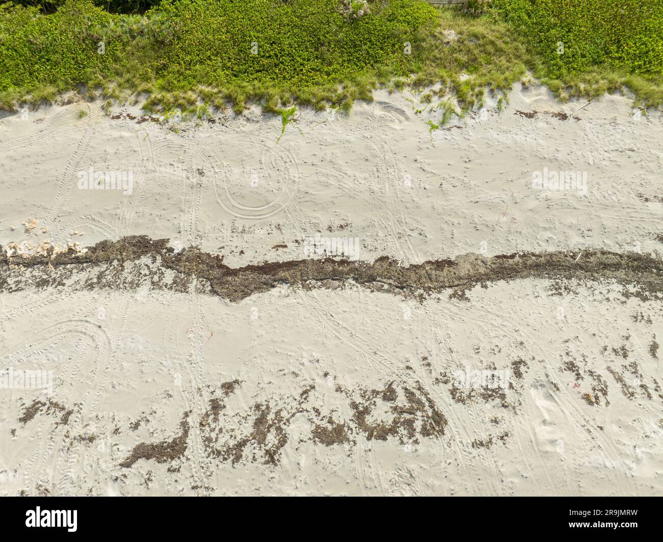 Aerial photo Loggerhead turtle tracks on the sand Jupiter Island ...