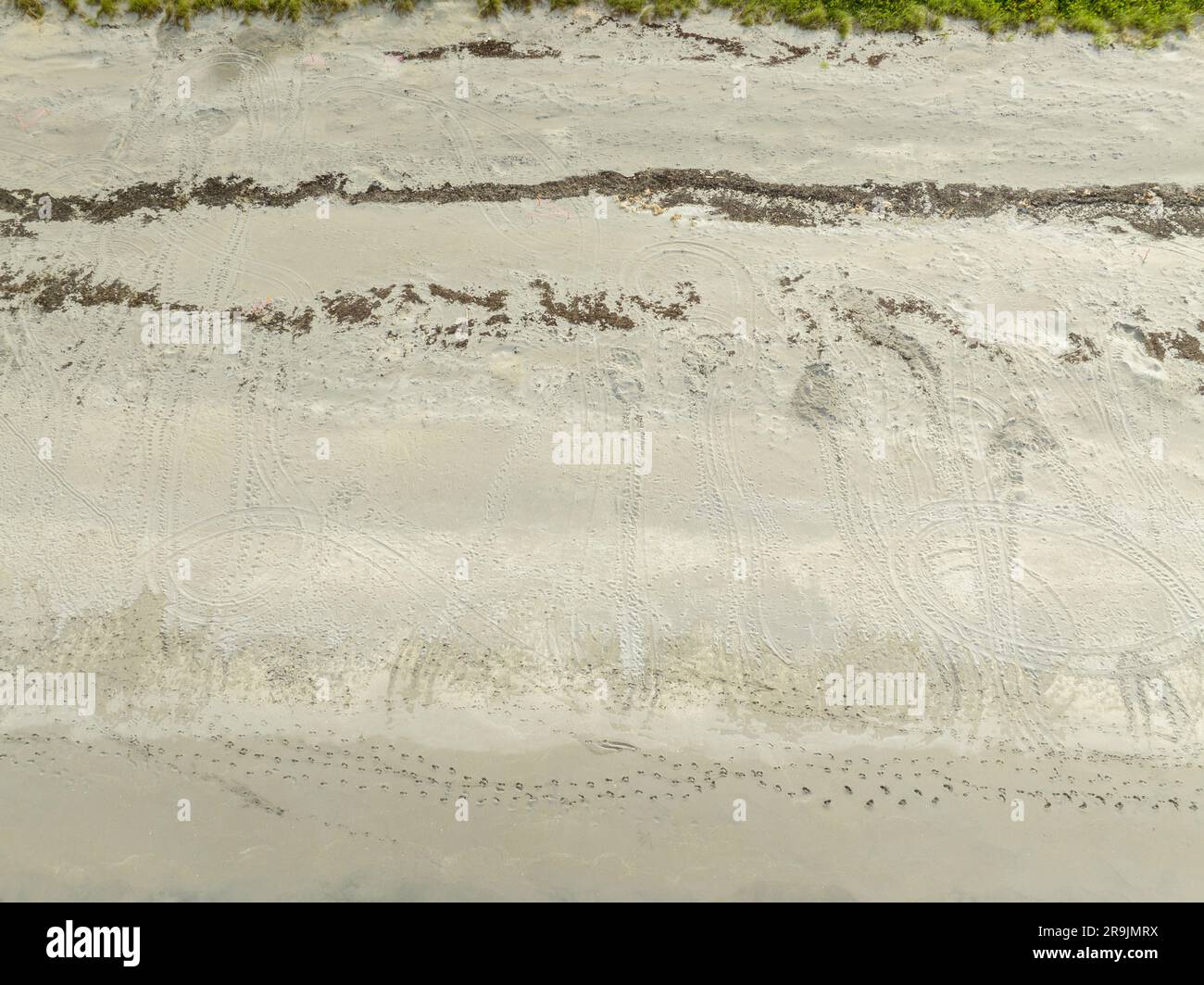Aerial photo Loggerhead turtle tracks on the sand Jupiter Island ...