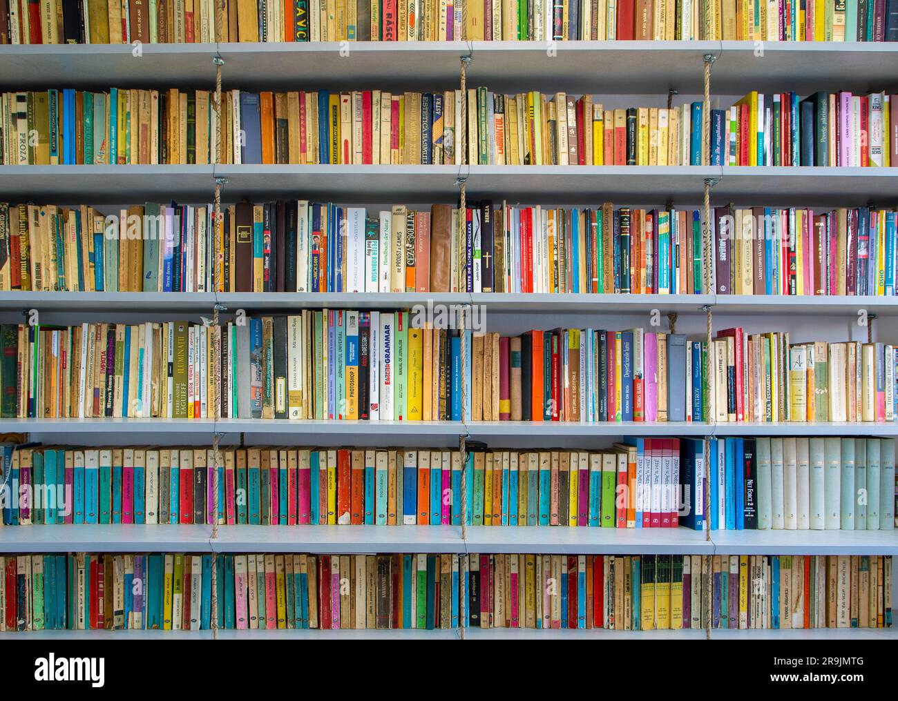 Personal library hi-res stock photography and images - Alamy