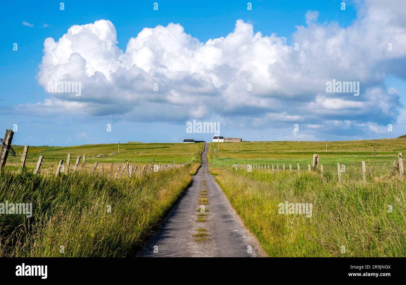Single track road hi-res stock photography and images - Alamy