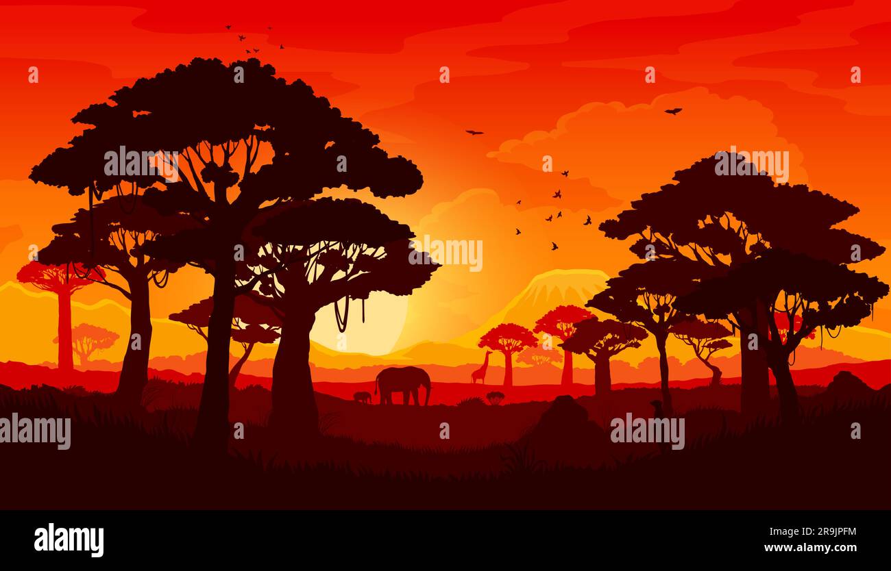 African savannah sunset landscape, scenery silhouette background ...