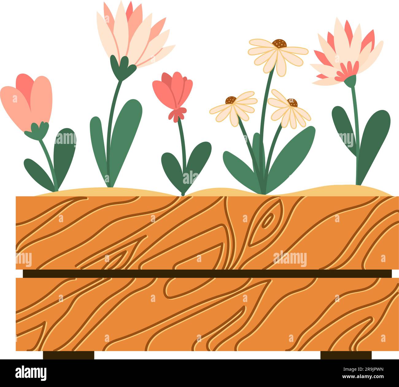 Home gardening illustration. Vector colorful flowers in wooden box ...