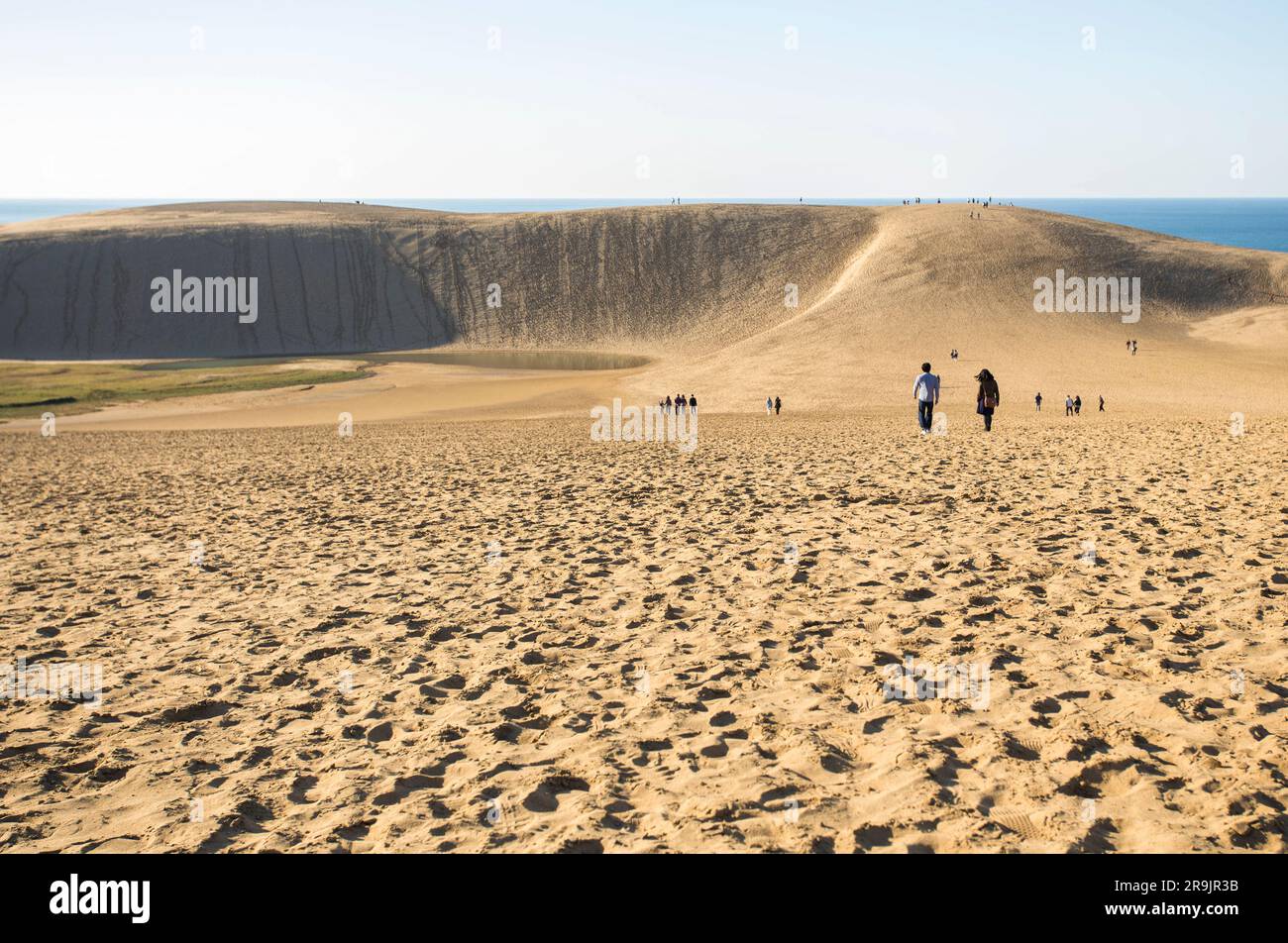 Japanese desert hi-res stock photography and images - Alamy