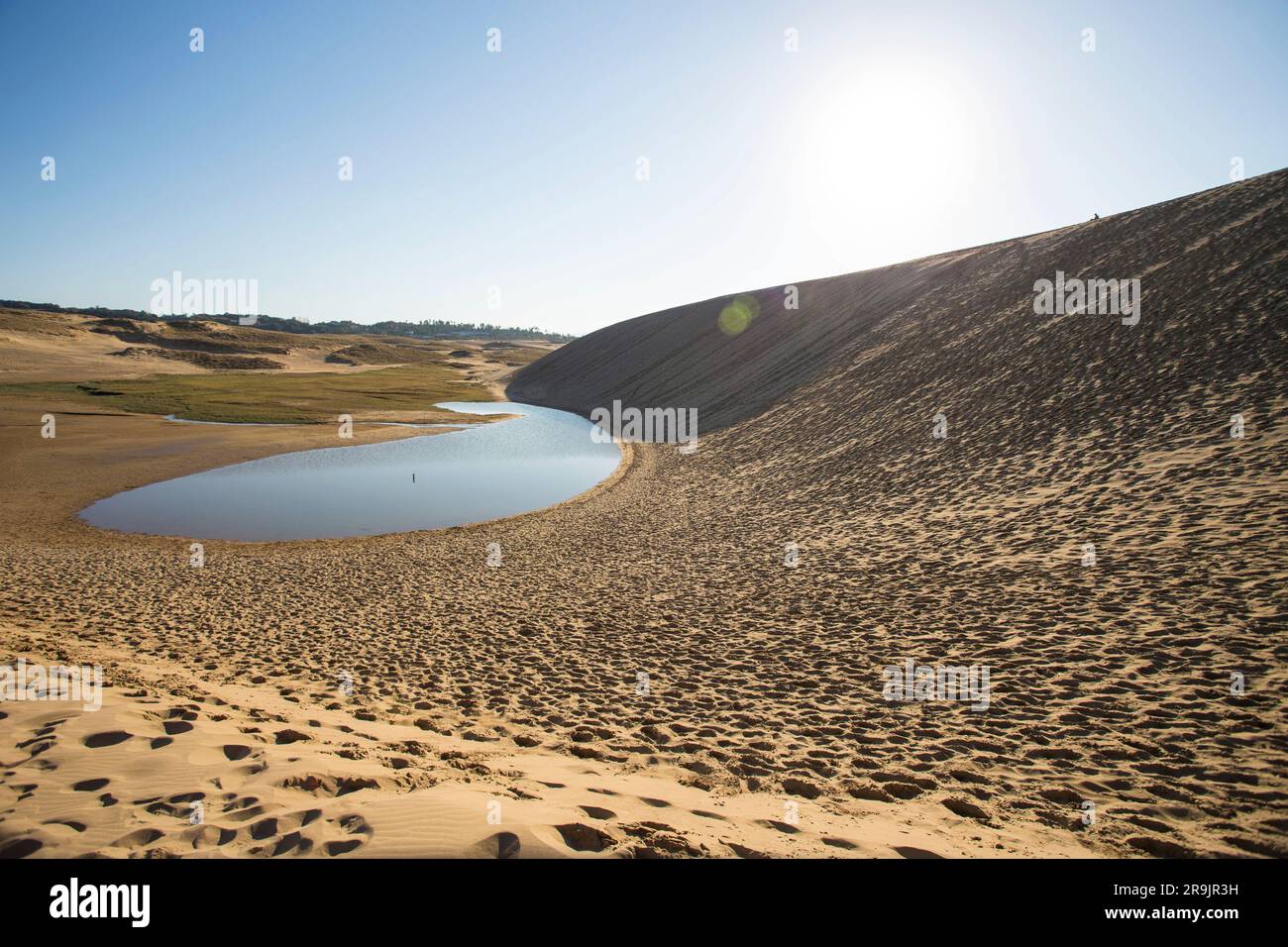 In a Japanese "desert Stock Photo - Alamy