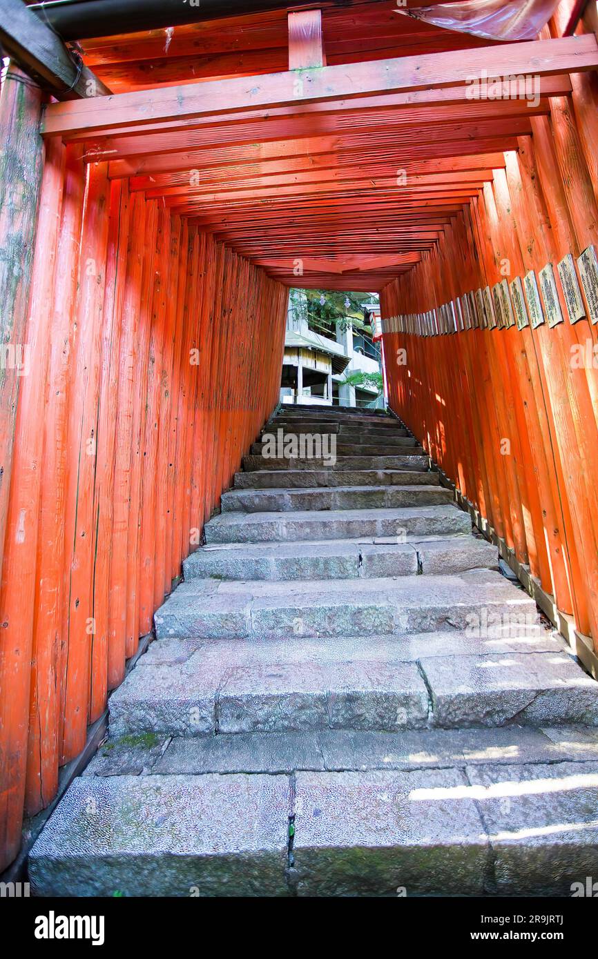 Taikodani Inari Shrine | 5 Alternatives to Kyoto’s Fushimi Inari Shrine ...