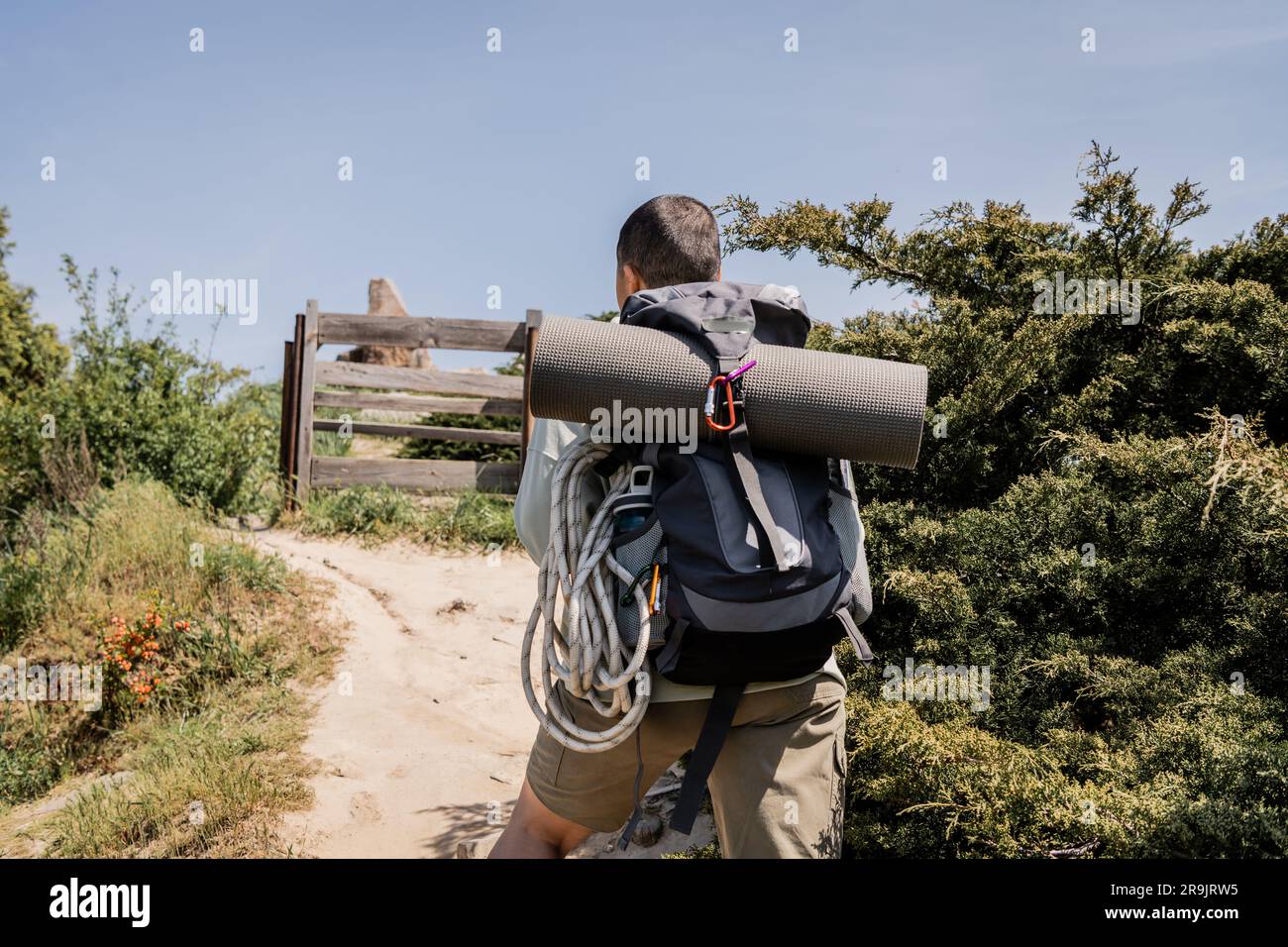 Back view of young short haired female traveler with backpack, climbing ...