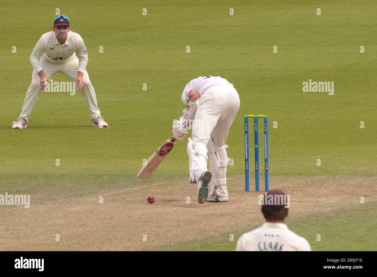 Sean williams cricket hi-res stock photography and images - Alamy