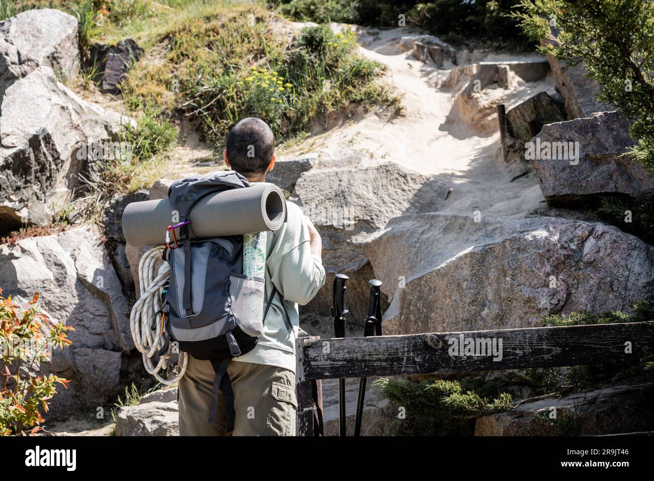 Back view of short haired young traveler with backpack and travel ...