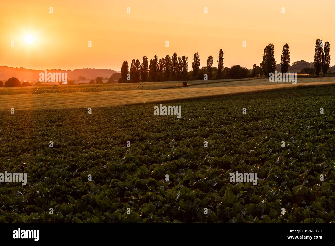 A spectacular Dutch sunset with an amazing coloured sky with the ...
