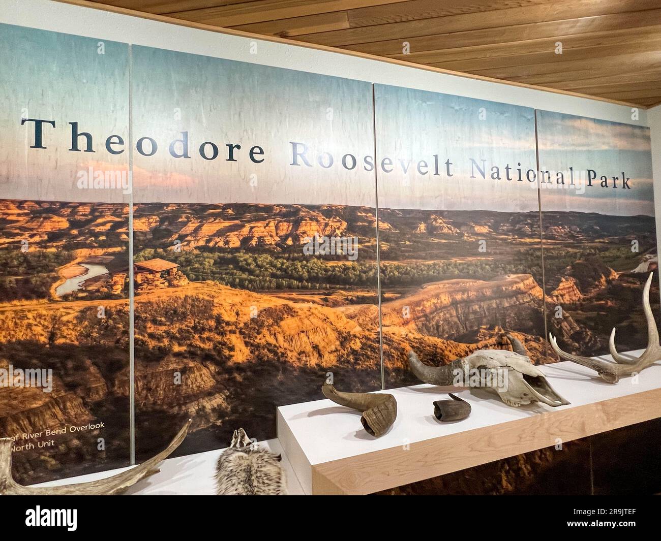 Theodore roosevelt nature center hi-res stock photography and images ...