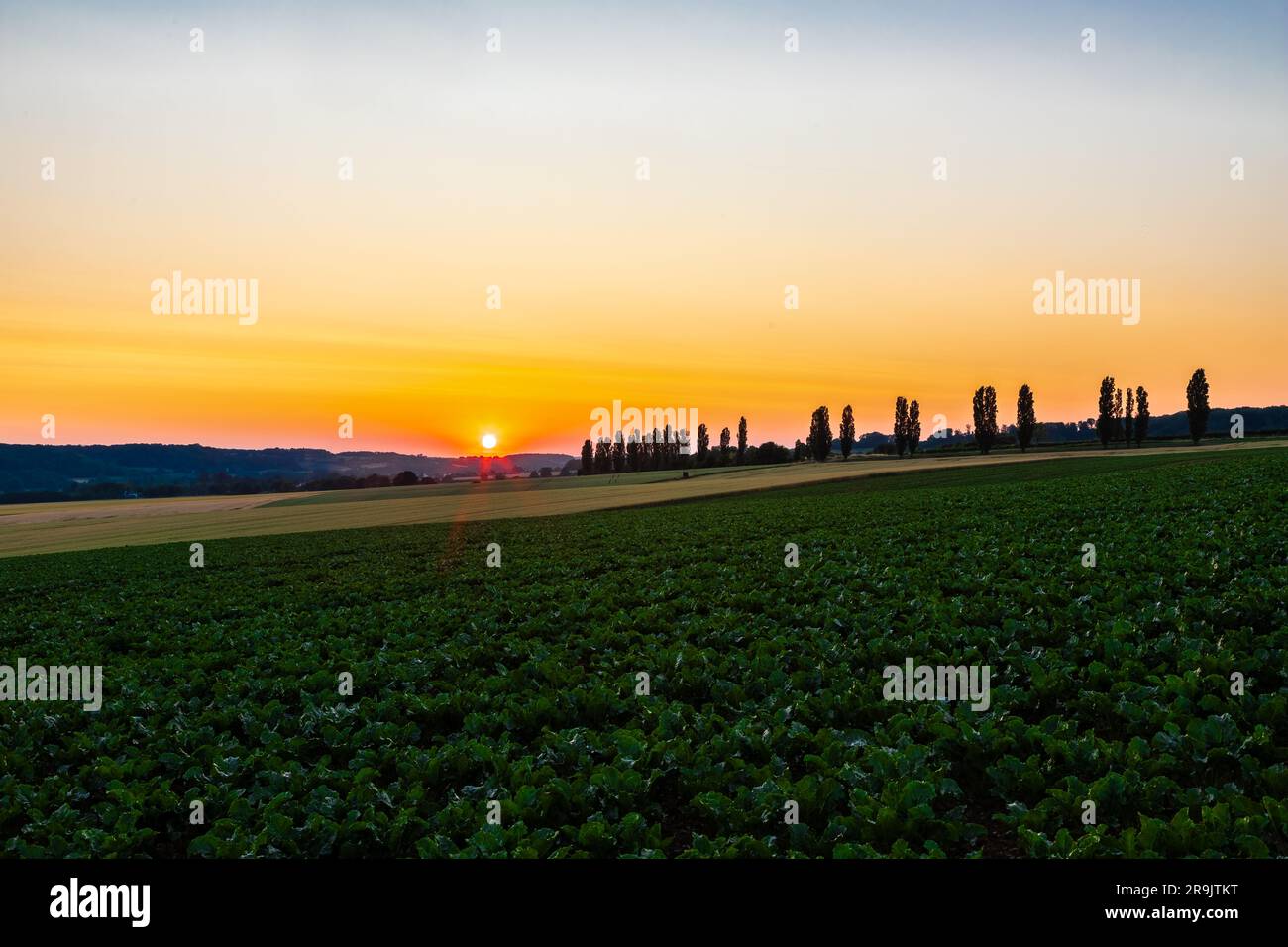 A spectacular Dutch sunset with an amazing coloured sky with the ...