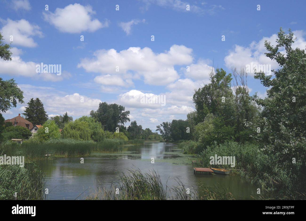 The Little Danube, Kis-Duna, at Domsod, Hungary Stock Photo - Alamy