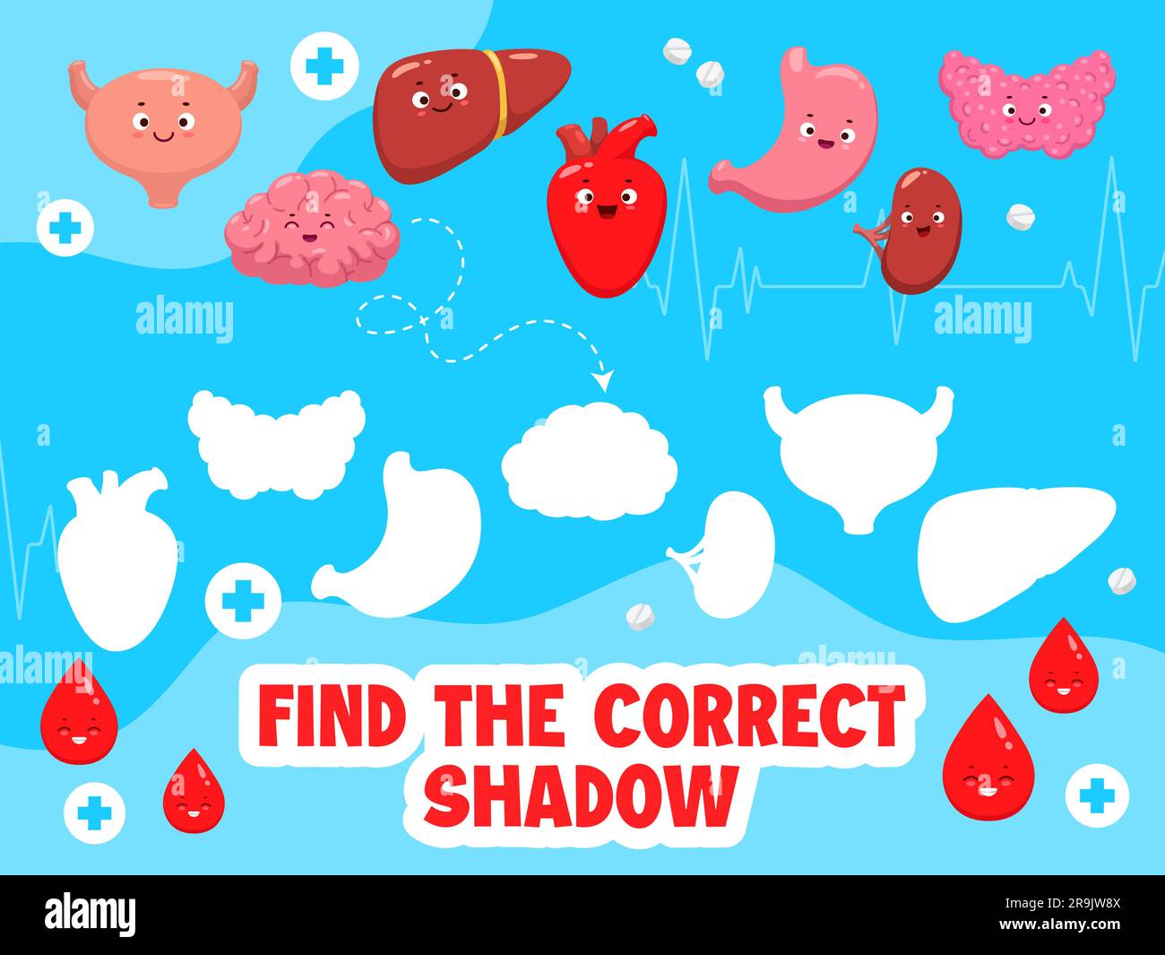 Find the correct shadow of cartoon body organ characters. Shadow match ...