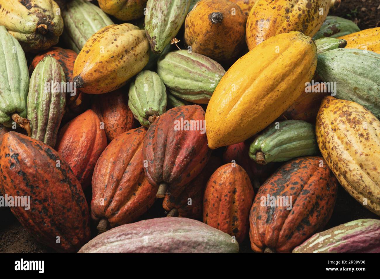 Raw nature hi-res stock photography and images - Alamy