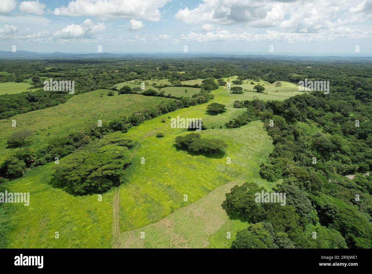 Aerial view green fields plantation hi-res stock photography and images ...