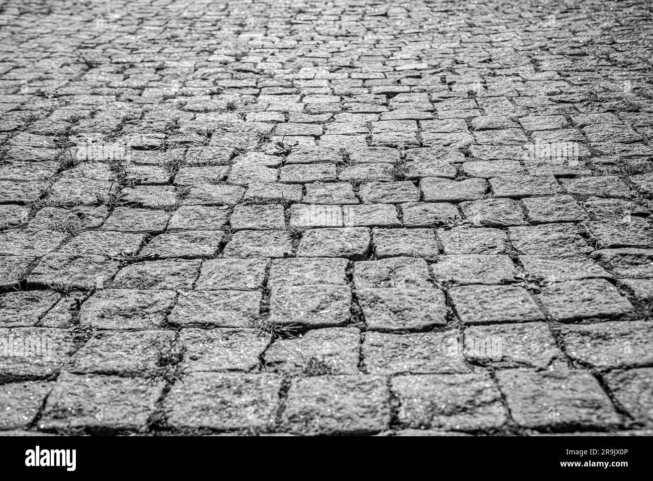The texture of the paved tiles at the bottom of the street Stock Photo ...