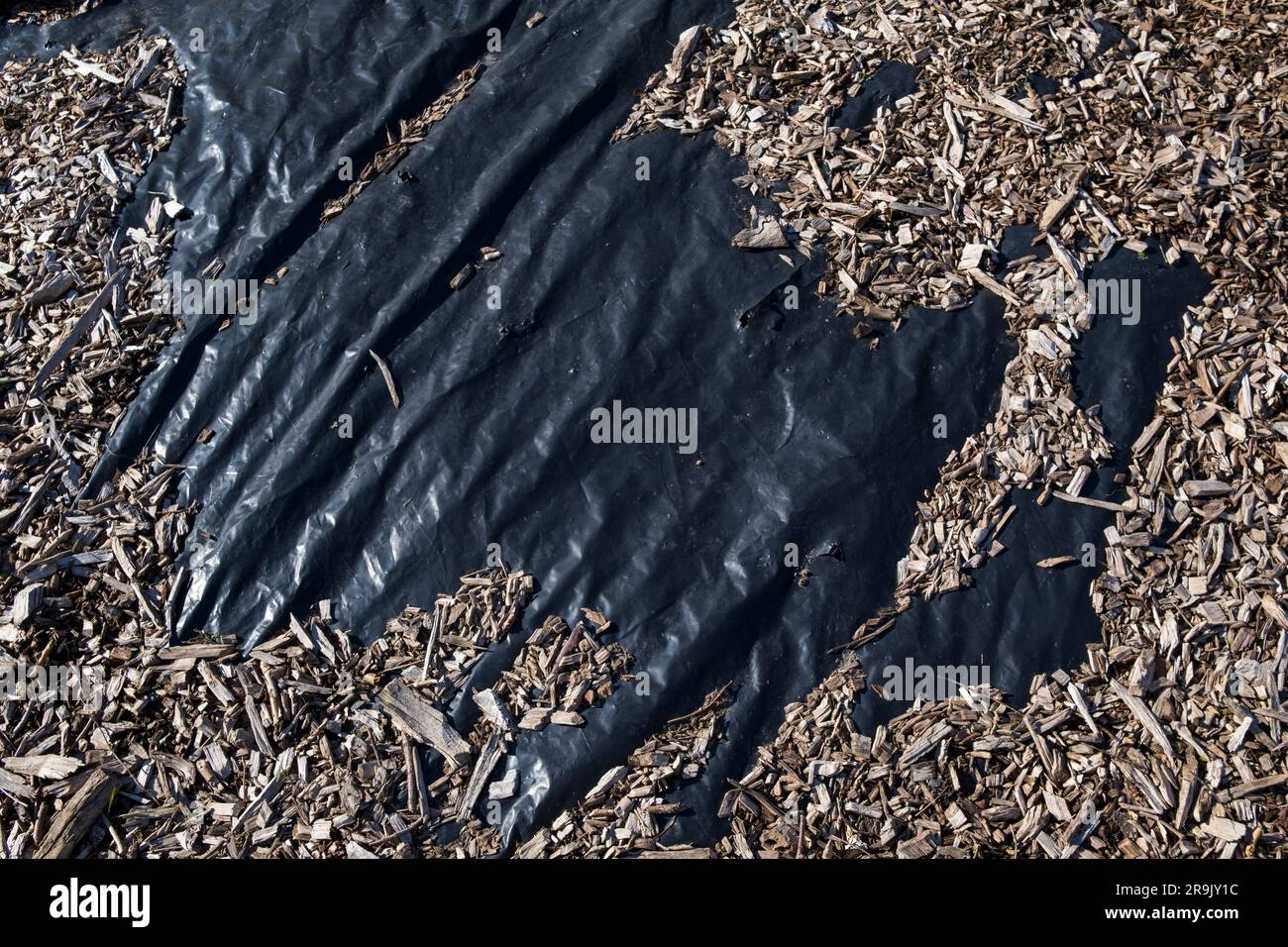 Landscaping woodchips covering black plastic tarpaulin Stock Photo - Alamy