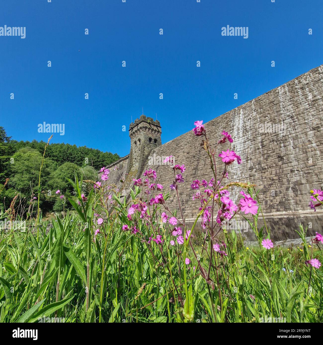 Nestled amidst the picturesque landscapes of the United Kingdom ...