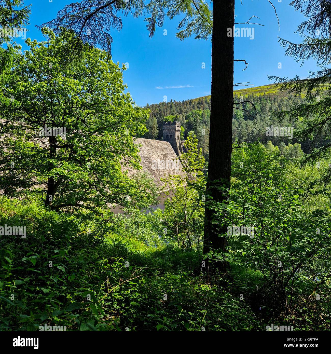 Nestled amidst the picturesque landscapes of the United Kingdom ...