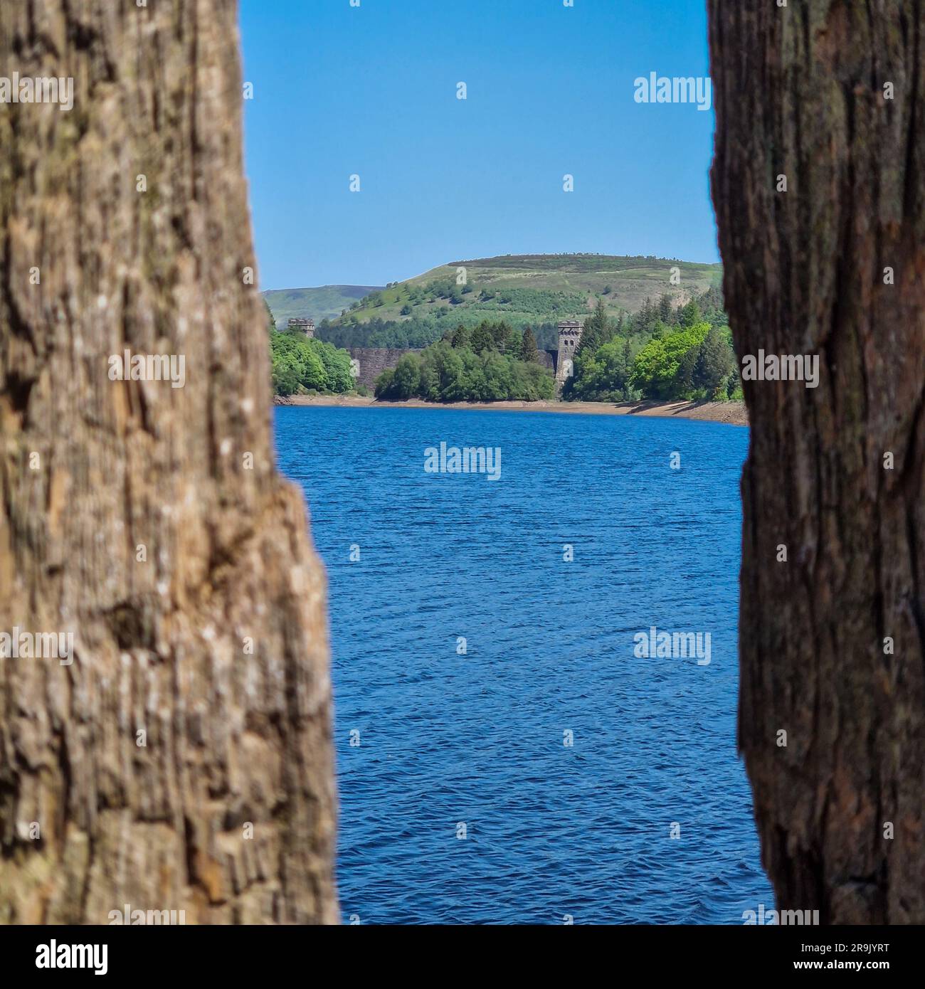 Nestled amidst the picturesque landscapes of the United Kingdom ...