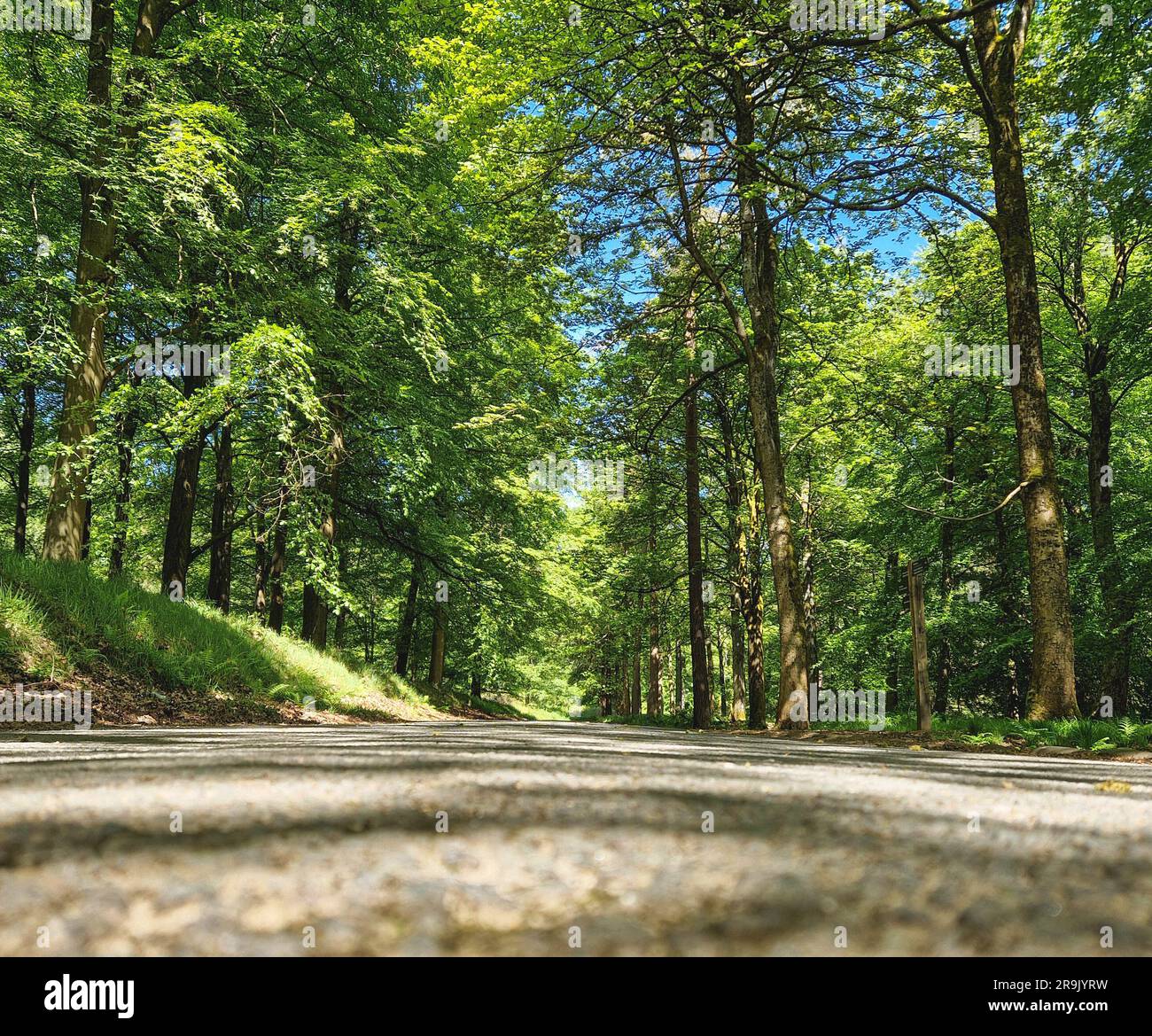 Nestled amidst the picturesque landscapes of the United Kingdom ...