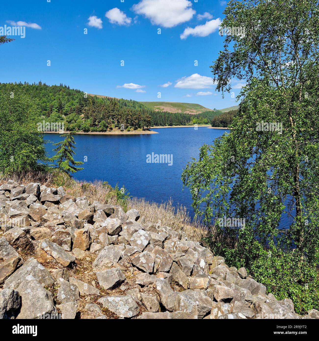 Nestled amidst the picturesque landscapes of the United Kingdom ...