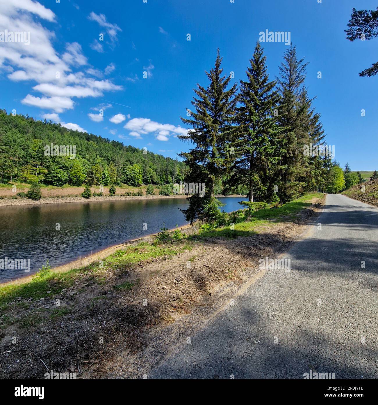 Nestled amidst the picturesque landscapes of the United Kingdom ...