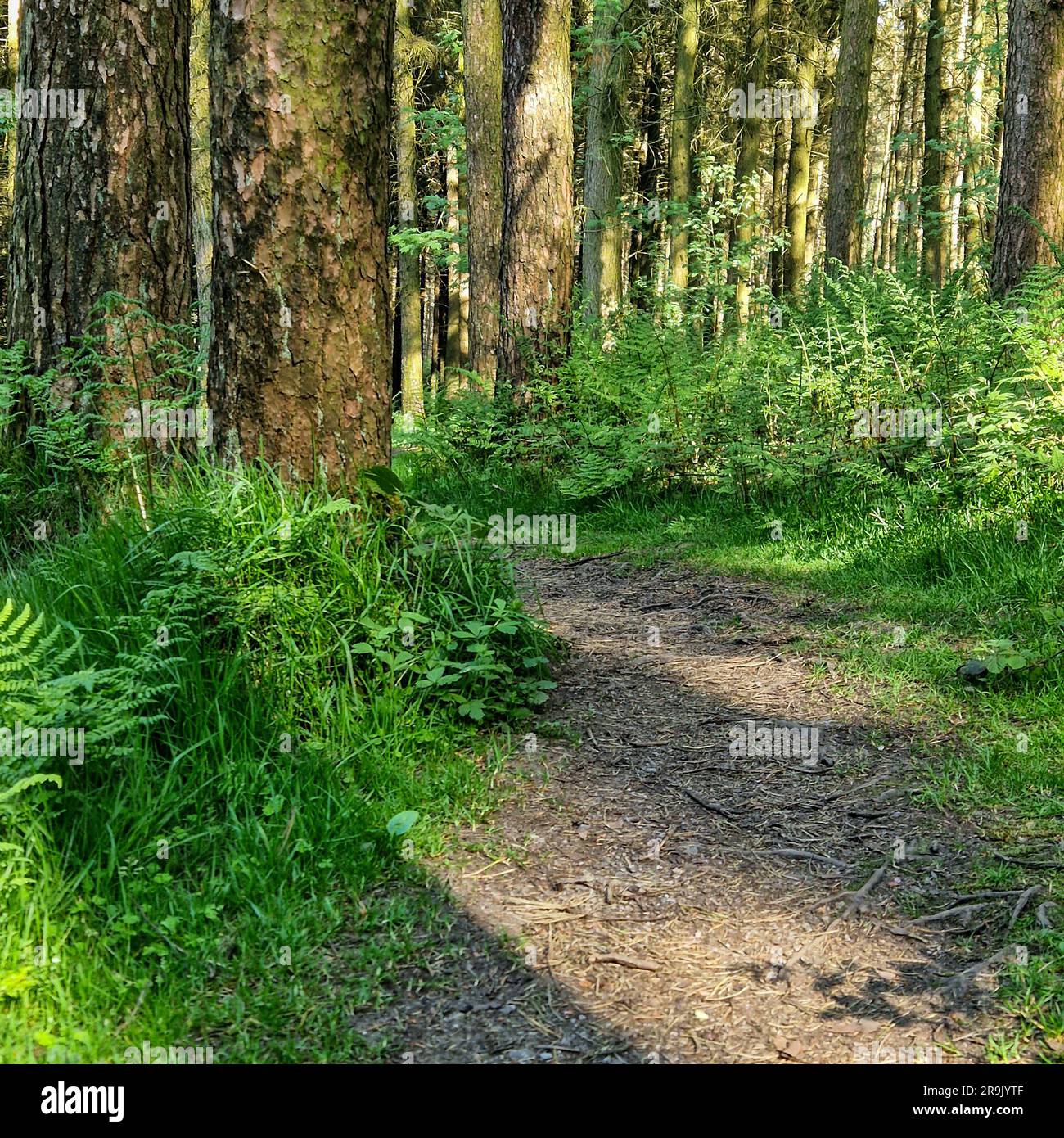 Nestled amidst the picturesque landscapes of the United Kingdom ...