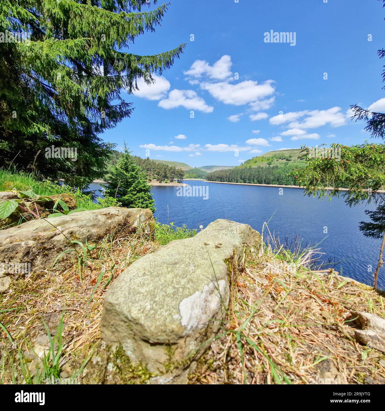 Nestled amidst the picturesque landscapes of the United Kingdom ...