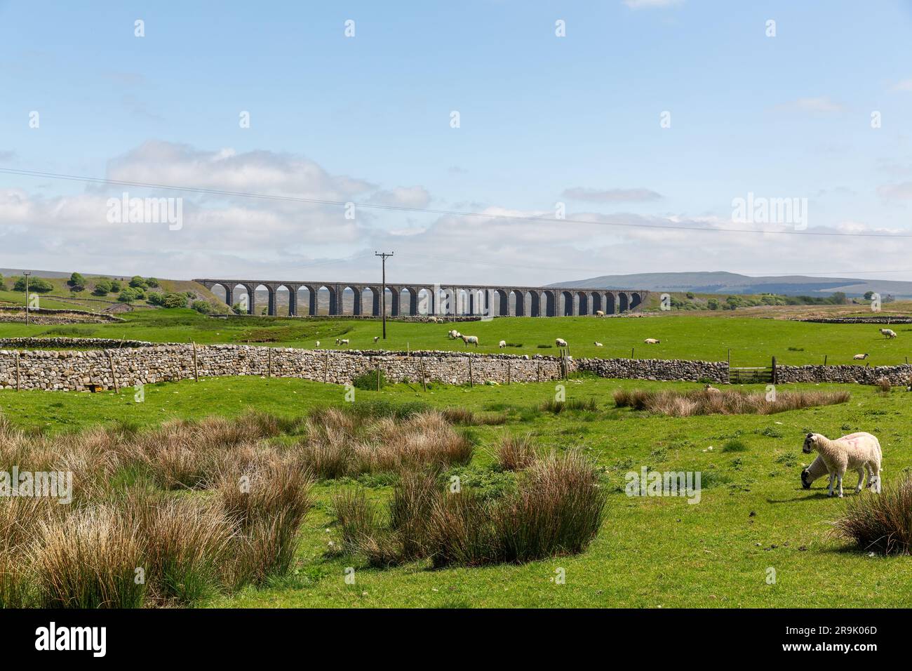 Victorian farm sheep hi-res stock photography and images - Alamy