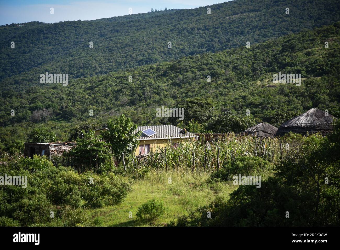 Umkhanyakude hi-res stock photography and images - Alamy