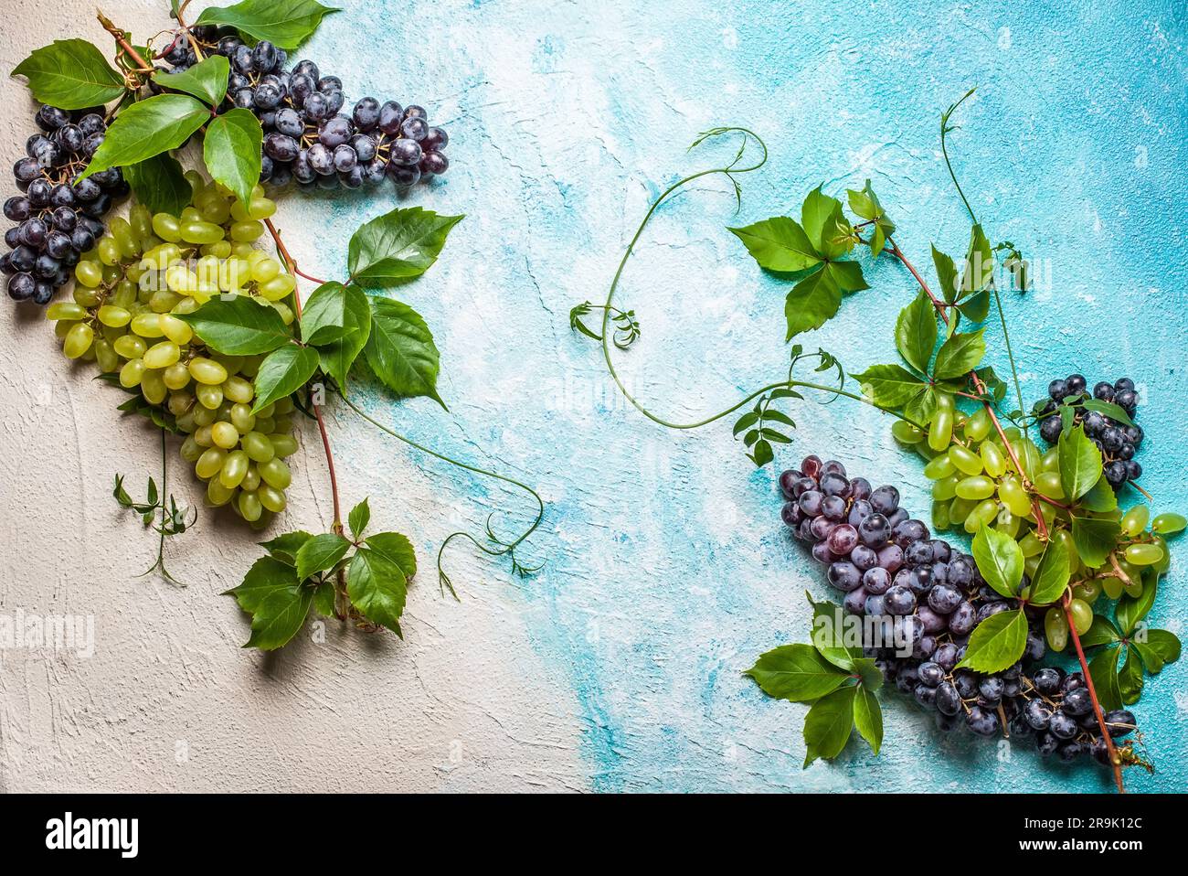 Still life of various types of grapes with leaves. Top view Stock Photo ...