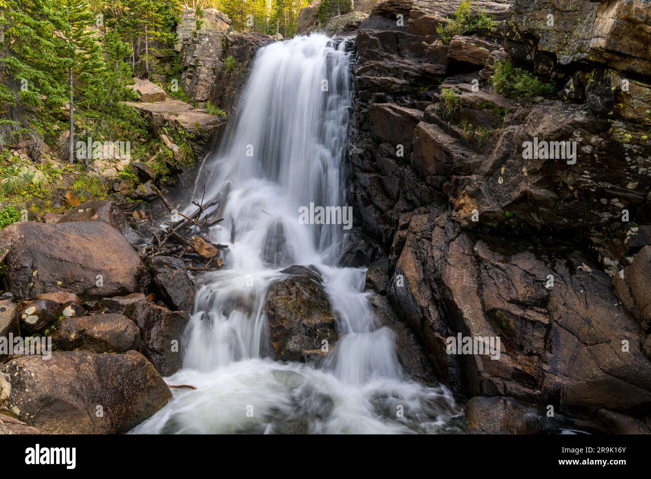 Sunny alberta hi-res stock photography and images - Alamy