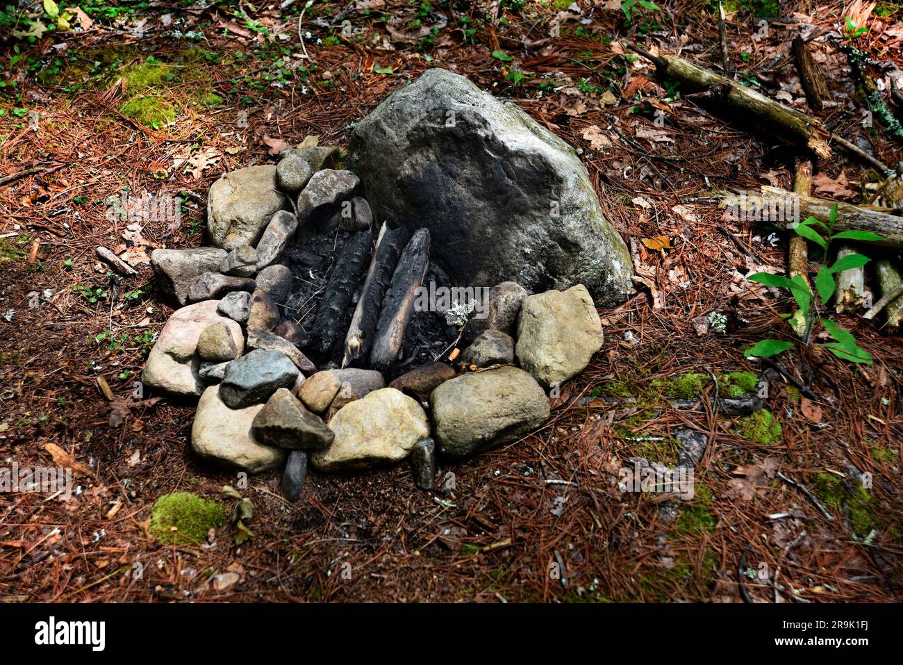 A cold campfire left by campers in the Jeffeerson National Forest in ...