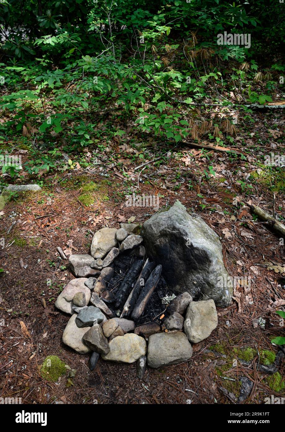 A cold campfire left by campers in the Jeffeerson National Forest in ...