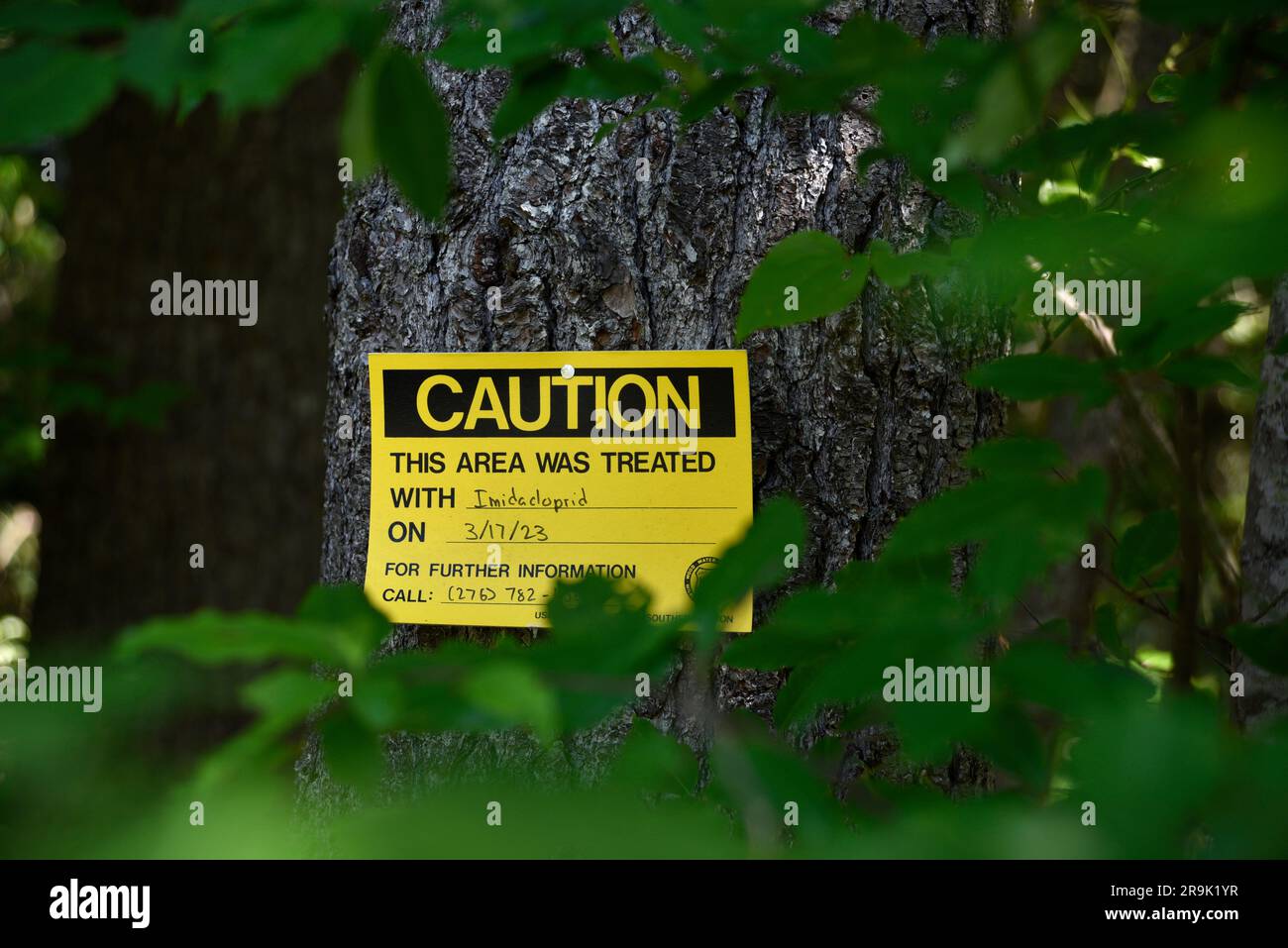 A caution sign posted on a tree in a US national forest warns visitors ...