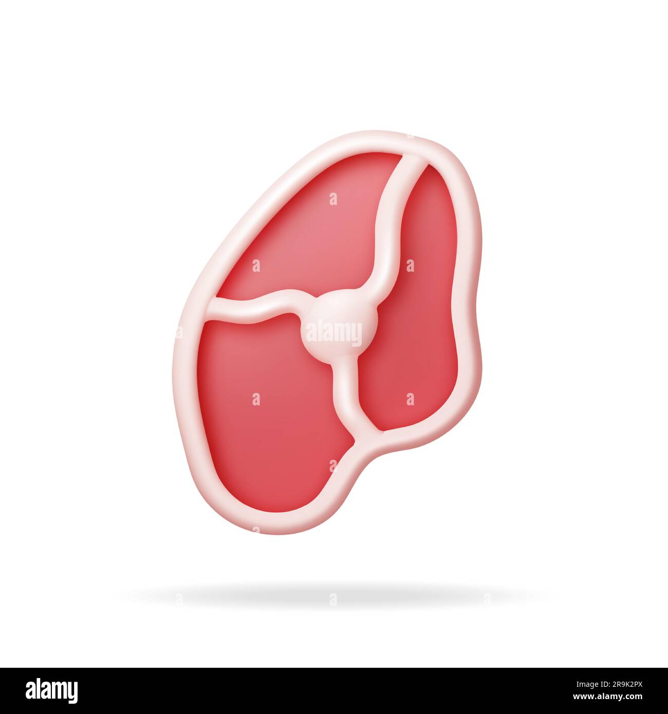 Raw filet steak Stock Vector Images - Alamy